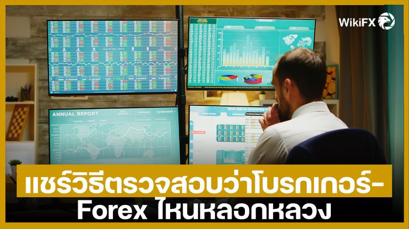 [WikiFX.TH] แชร์วิธีตรวจสอบว่าโบรกเกอร์ Forex ไหนหลอกหลวง อ่านข้อมูลเพิ่มเติมได้ที่ : https ...