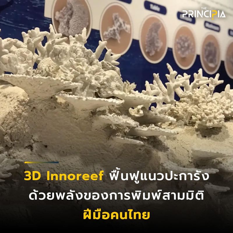 [The Principia] ปัญหาหนึ่งที่เกิดขึ้นในหลายพื้นที่ทั่วโลก คือแนวปะการัง ...