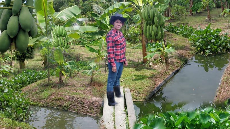 [Everythinghobby] 1 ไร่ ทำเงินทุกตารางนิ้ว, หลุมพอเพียง 50 ตร.ว. https://youtu.be/lGxfz2IU8sc