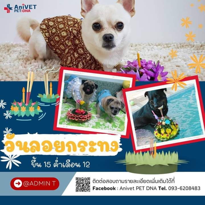 [AniVET New ข่าวสารวงการสัตว์] 🎊🎊 สุขสันต์วันลอยกระทงค่าทุกคน 🌊🌊 เนื่องในวันที่ 8 พฤศจิกายน ตรง ...