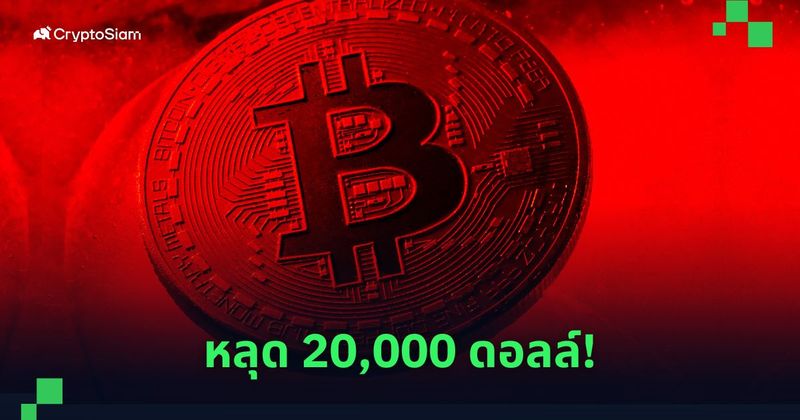 [CryptoSiam - ข่าว Crypto] แยกย้าย! ราคา Bitcoin ดิ่งหนัก-ฉุดตลาดลงเหว พร้อมเหรียญไทยหมดแรงซิ่ง ...