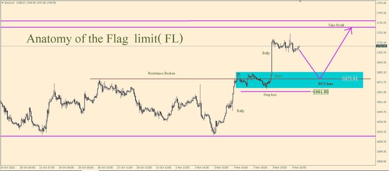 [เทรดGold] Anatomy of the Flag limit( FL) เปิดไปเจอรูปภาพแบบหนึ่ง มันจะเหมือนทองคำตอนนี้ไหม? เขา ...