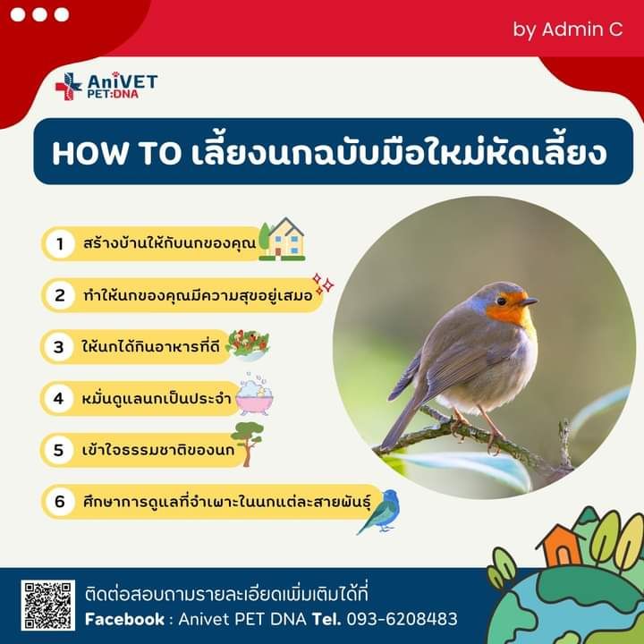 [AniVET New ข่าวสารวงการสัตว์] "ไหนใครอยากเลี้ยงนกแต่ไม่รู้จะเริ่มยังไง ยกมือขึ้นหน่อยเร็วว 👀 🎉 ...