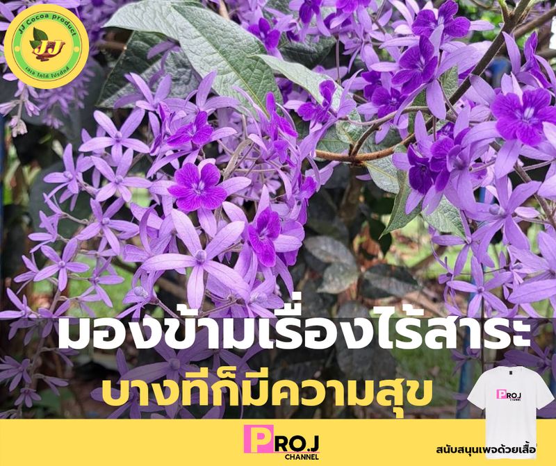 [JJ DEVELOPMENT] อย่าเก็บเรื่องที่ไร้สาระเข้าสมองจะทำให้สมองมีแต่ขยะ