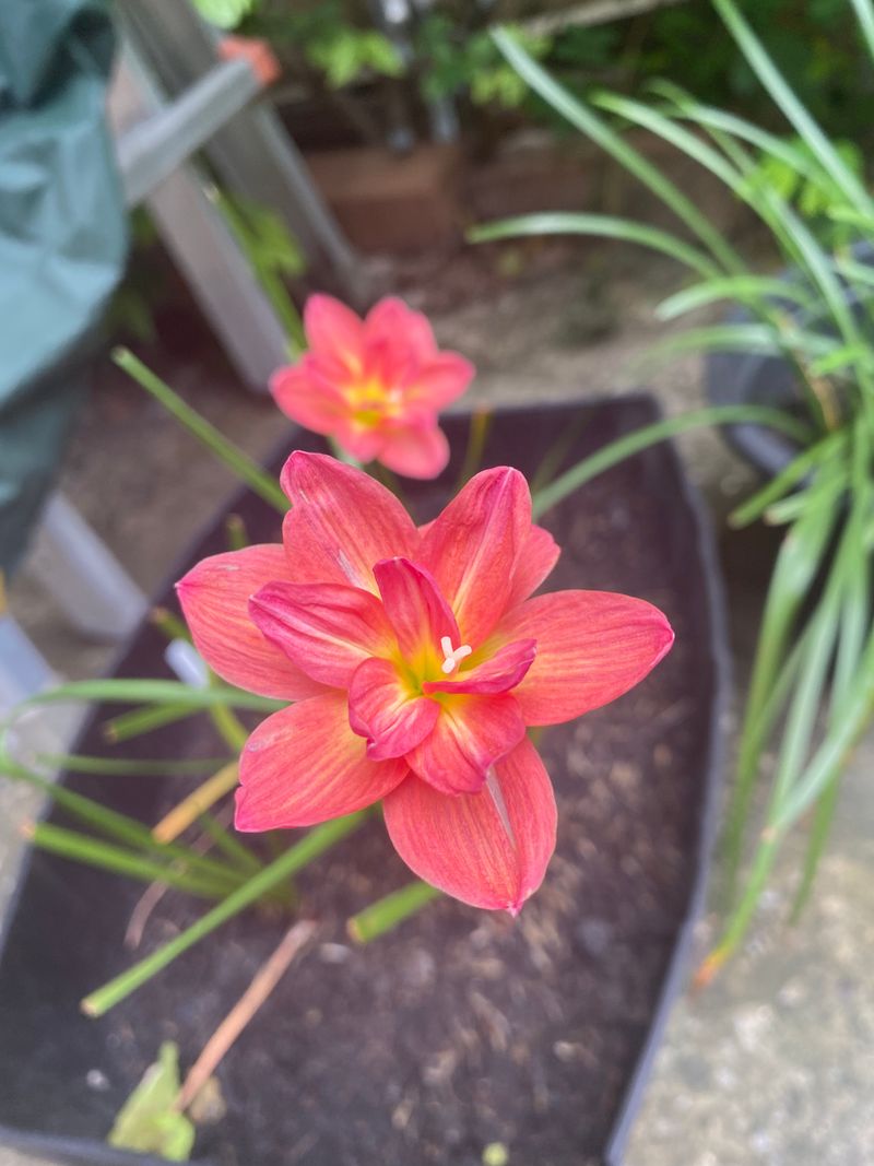 [Taniya N.] วันนี้คือพรุ่งนี้ของเมื่อวาน