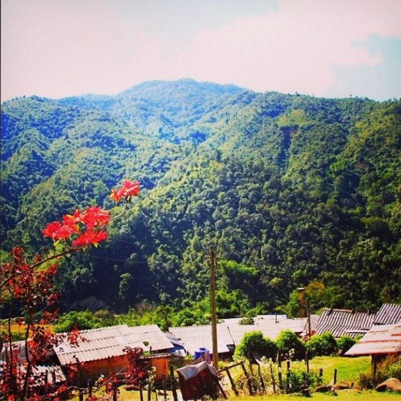 [Taniya N.] ชอบดมกลิ่นหัวแมว … รู้ว่าไม่ดีเลย ขนต้องเข้าปอดแน่ ๆ แต่หัว ...