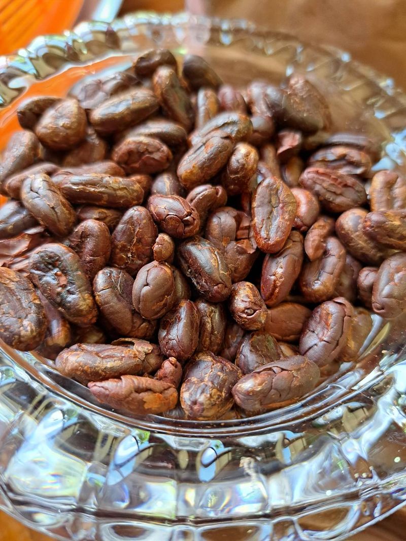 [JJ DEVELOPMENT] JJ DEVELOPMENT & PRO.J CHANNEL แนะนำ โกโก้นิบส์ ภายใต้ ...