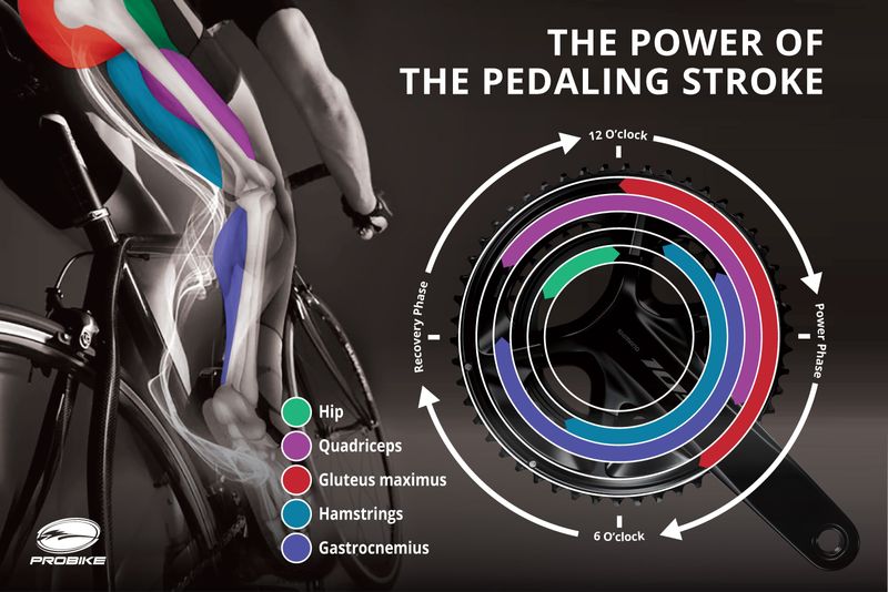 [Probike] 🔥 The Power of the Pedaling Stroke 🔥 การรับรู้ถึงการ ...