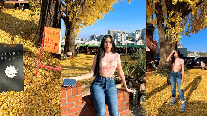 [CRAZY HEEJIN 💕] #คาเฟ่ เกาหลี ฮิตๆ ถ่ายรูปดี ในช่วงใบไม้เปลี่ยนสี 💖 👉🏻 : https://m.pantip.com ...