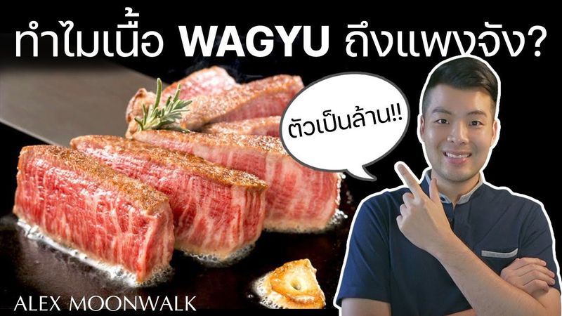 [Alex Moonwalk] ทำไมเนื้อวัววากิวแท้ๆ ถึง ราคาแพงจัง? วีดีโอเล่าเรื่อง กึ่งสารคดี เจาะลึก ...