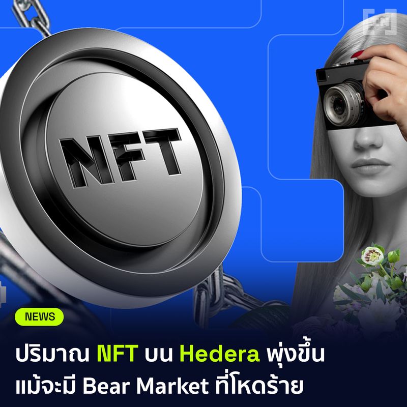 [BeInCrypto Thailand] คอลเล็กชัน NFT บน Hedera กำลังเติบโตอย่างมาก โดยมีคอลเล็กชันจำนวนมาก ...