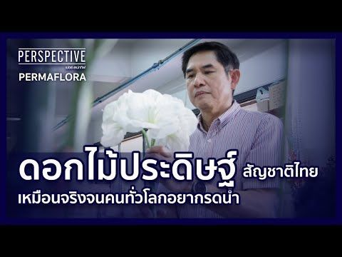 [Everythinghobby] จร ศิลปะ ชัยวัชระ Permaflora ดอกไม้ประดิษฐ์ สัญชาติไทย เหมือนจริงจนมีลูกค้าทุก ...