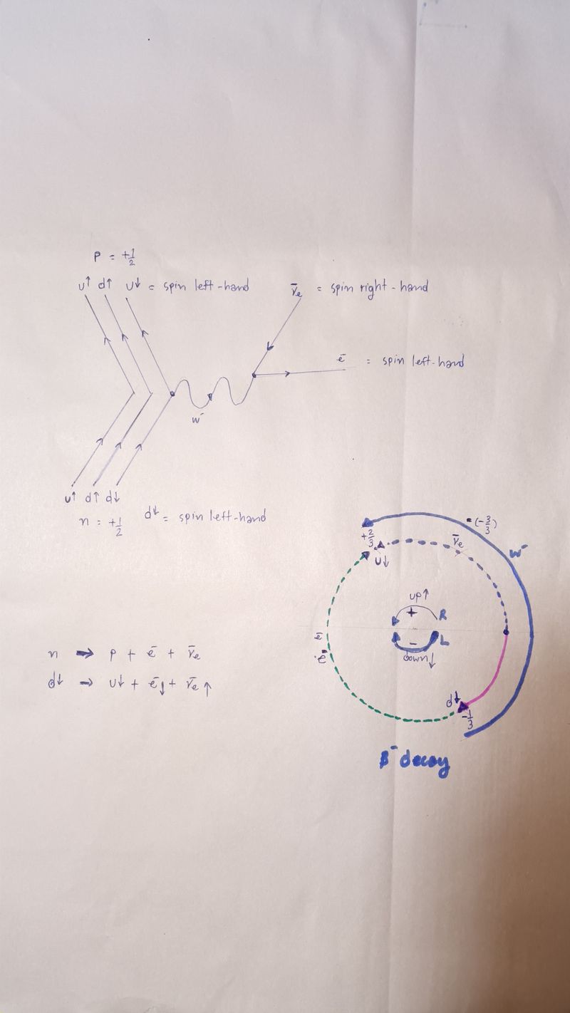 [Wallop138] The Law of Left Handed of Universe neutron(n) ประกอบด้วย ...