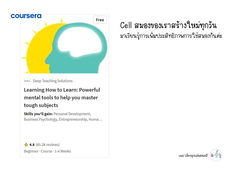 [เลี้ยงลูกเล่นดนตรี] Learning how to Learn part 2 วันนี้เรียนจบคอร์สนี้ใน Coursera ค่ะ ชอบมาก ...