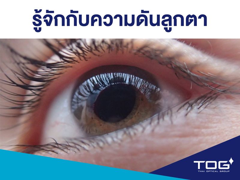 [Thai Optical Group] รู้จักกับความดันลูกตา ความดันลูกตา คืออัตราการ ...