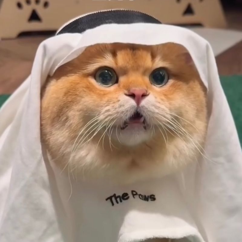 [atcha] มันขึ้นอยู่กับว่า คุณตามหาความสุขแบบไหนอยู่ แล้วรูปแบบความสุข ...