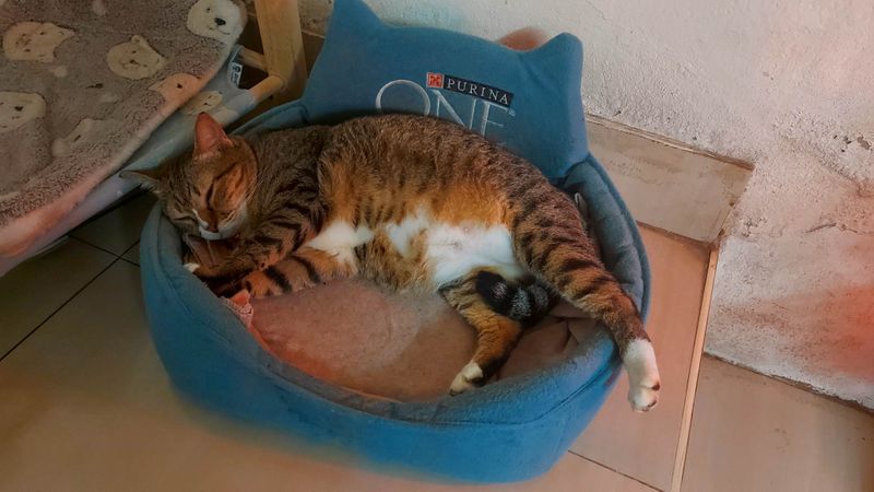 [English All Day] Have a nice day! Hi guys! How's your day?