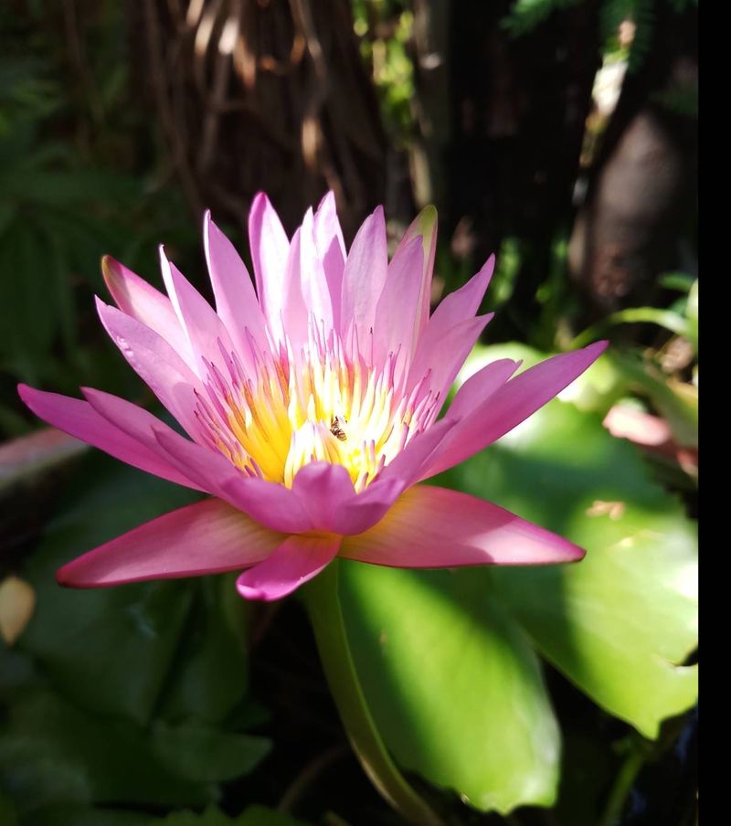 [Mee Jung ] วิทยาศาสตร์ สอนให้เราสังเกตภายนอก 🧪🌡 พุทธศาสนาสอน ให้เรา ...