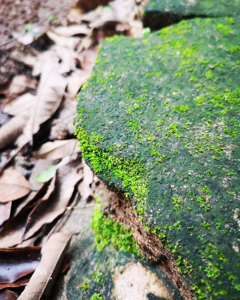 [วันนี้คะ 😁] สมัยเรียน เราชอบดูแลคนไข้ PICU ชอบมาก เฝ้าวอร์ดทั้งวัน กิน ...