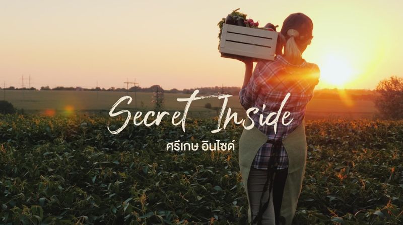 Secret Inside - ศรีเกษ อินไซด์