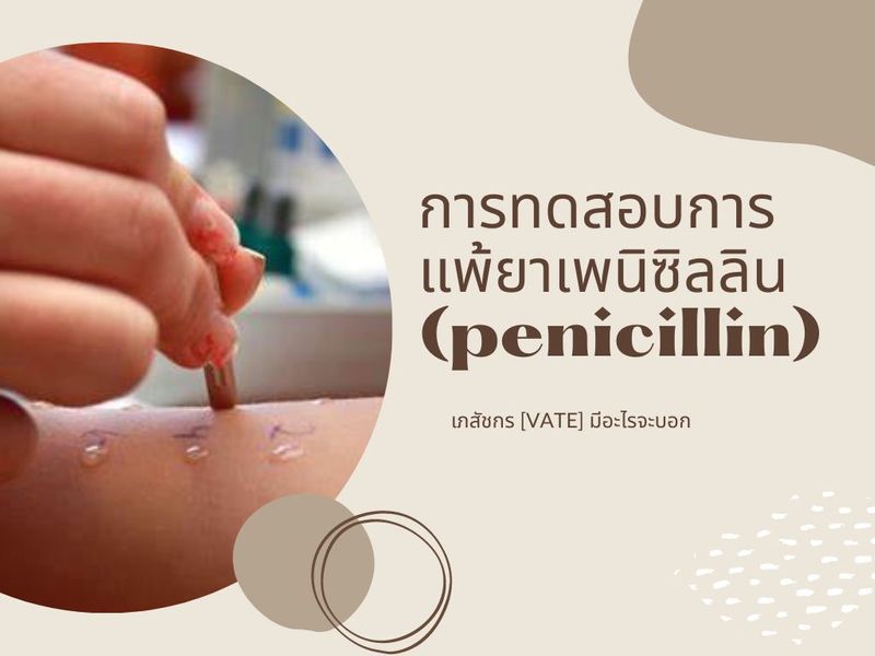 [Vate's Pharma Scope] การทดสอบการแพ้ยาเพนิซิลลิน (penicillin) ตามการรายงานของ Centers for ...