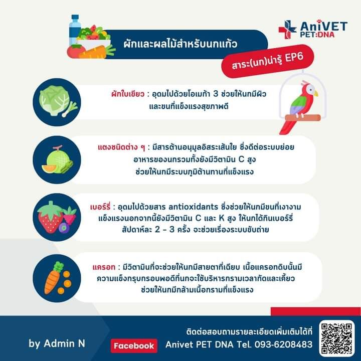 [AniVET New ข่าวสารวงการสัตว์] กลับมาอีกแล้วกับ สาระ(นก)น่ารู้ EP.6 ️ เป็นที่ทราบกันดีว่าผัก ...