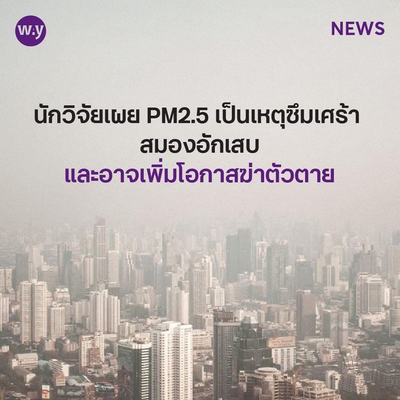 [WAY] [NEWS] นักวิจัยเผย PM2.5 เป็นเหตุซึมเศร้า สมองอักเสบ และอาจเพิ่มโอกาสฆ่าตัวตาย ปัญหา PM2.5 ...