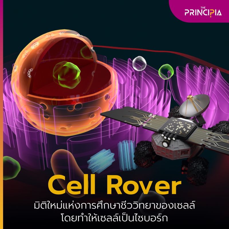 [The Principia] Cell Rover มิติใหม่แห่งการศึกษาชีววิทยาของเซลล์โดยทำให้เซลล์เป็นไซบอร์ก มันจะน่า ...