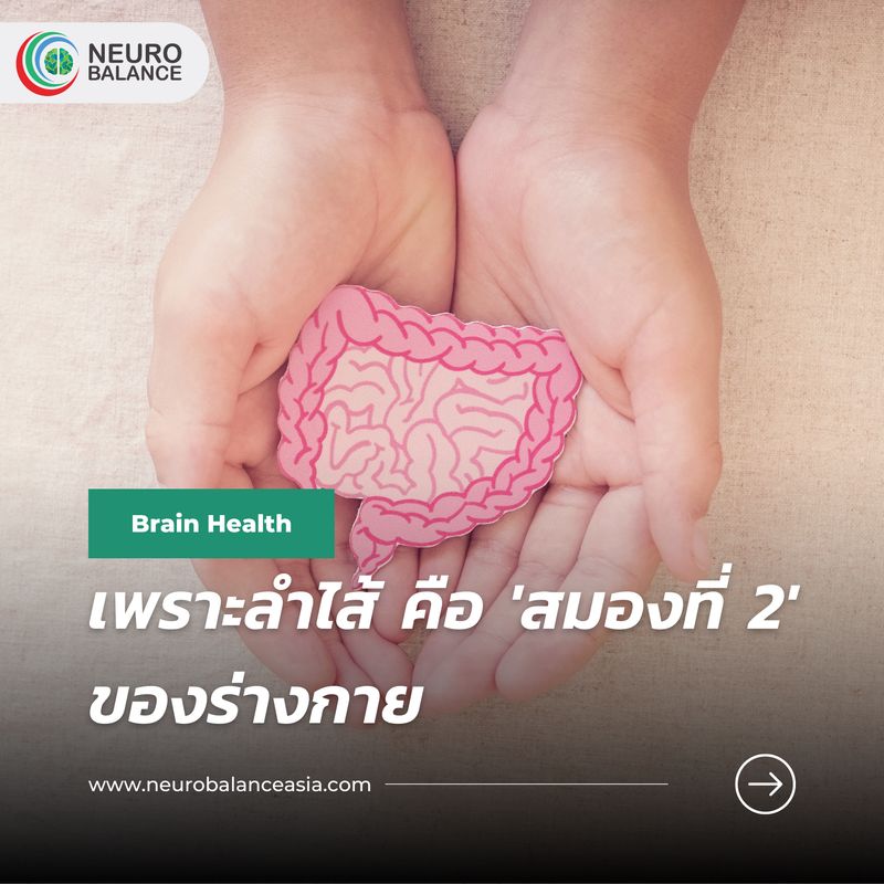 [Neurobalance ศูนย์ให้บริการฟื้นฟูสุขภาพ] 📌เพราะลำไส้ คือ สมองที่ 2 ของ ...