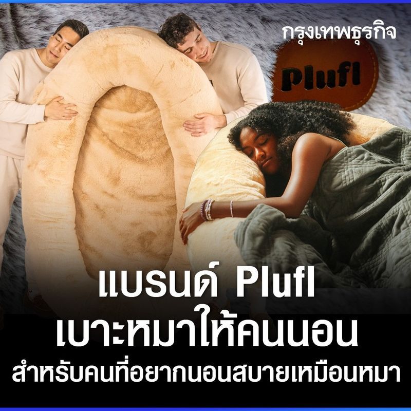 [กรุงเทพธุรกิจ] The Plufl เบาะหมาสำหรับให้คนนอน การคุดคู้นอนบนเบาะทั้ง ...