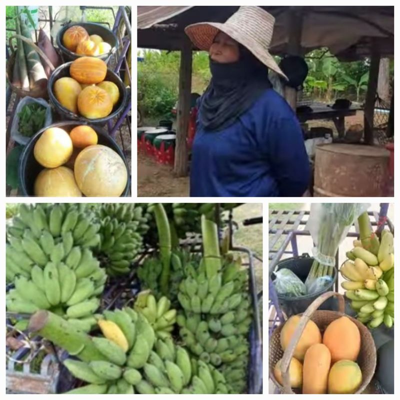 [Everythinghobby] 1 ปีเปลี่ยนที่นามาทำเกษตรผสมผสาน ภูเวียง, ขอนแก่น