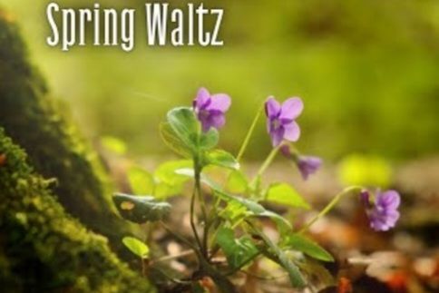 [Everythinghobby] Spring Waltz ~ Chopin