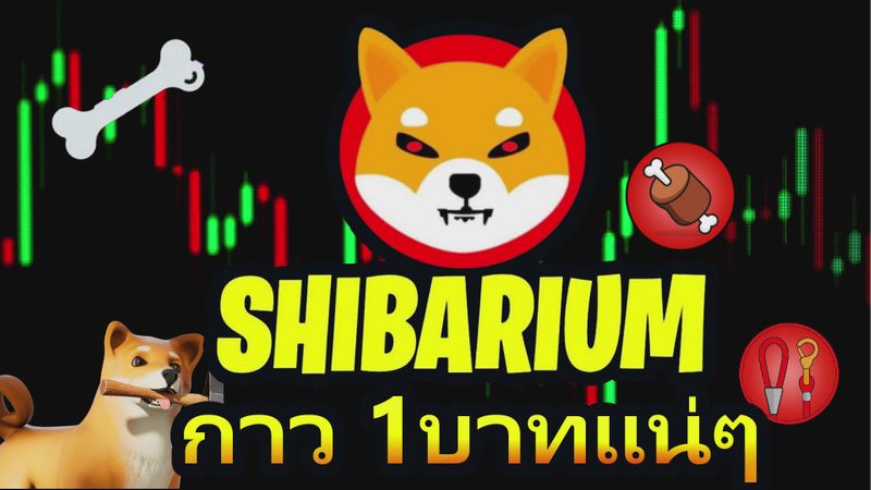 [SCOPE TV] วาฬไล่เก็บSHIBอย่างบ้าคลั่ง เชื่งราคาจะขึ้นไป1$ในอนาคต