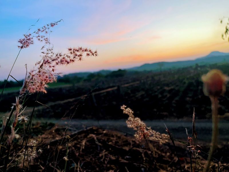 [Nazul Nazul] การเริ่มต้นใหม่อีกครั้ง