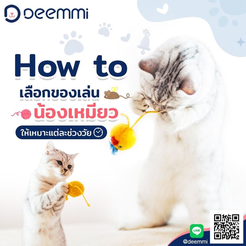 [Deemmi Pets] How to เลือกของเล่นน้องเหมียวอย่างไรให้เหมาะแต่ละช่วงวัย 😽 ลูกแมว ลูกแมวเป็นวัยที่ ...