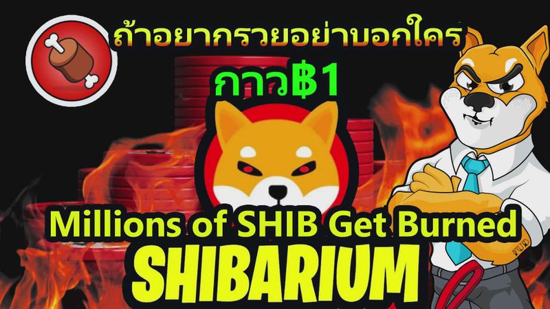 [SCOPE TV] SHIB หลายล้านตัวถูกเผาทิ้งหลังราคาพุ่ง 50% กาวถึง 1บาท