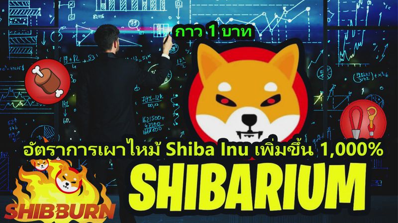 [SCOPE TV] อัตราการเผาไหม้เพิ่มขึ้น 1,000% ราคา SHIB จะไปถึง 1บาท
