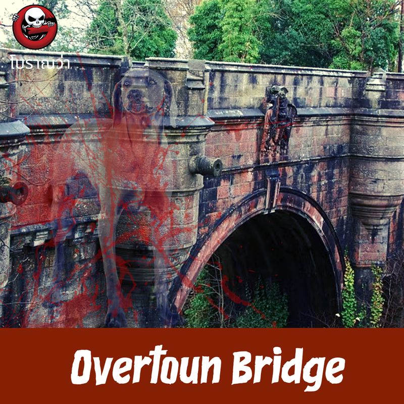 [The Ghost Radio] #โบราณว่า #TheGhostRadio Overtoun Bridge #สะพานสุสานสุนัข