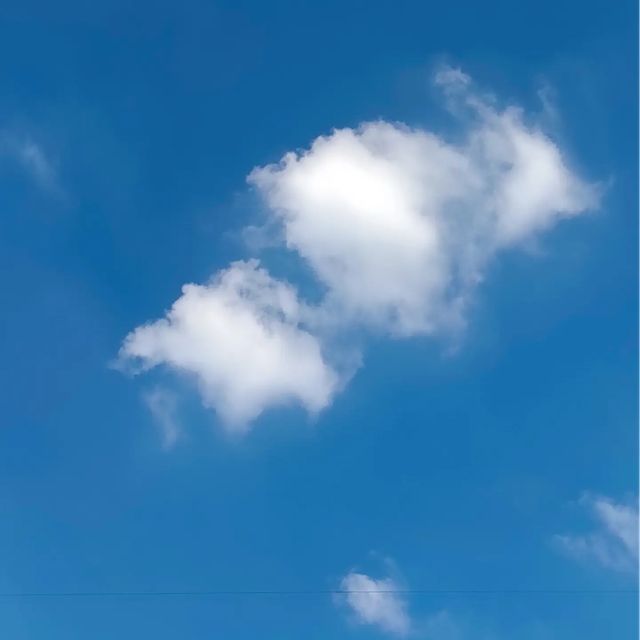 [Bookies Cookies New Word] New Word to Day Let's answer the question.