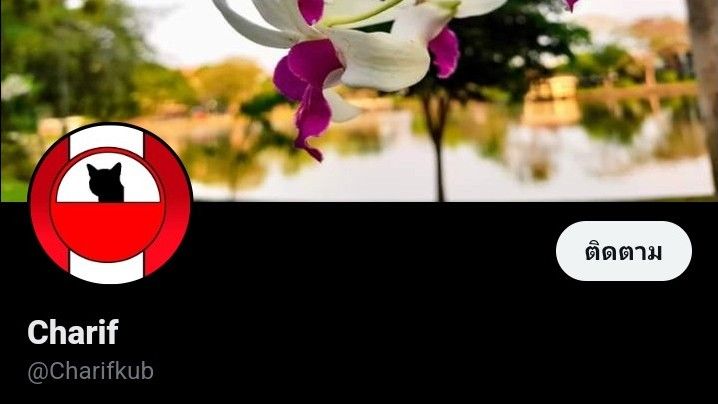 [Charifkub] Shoper Team Story : Twitter Charifkub