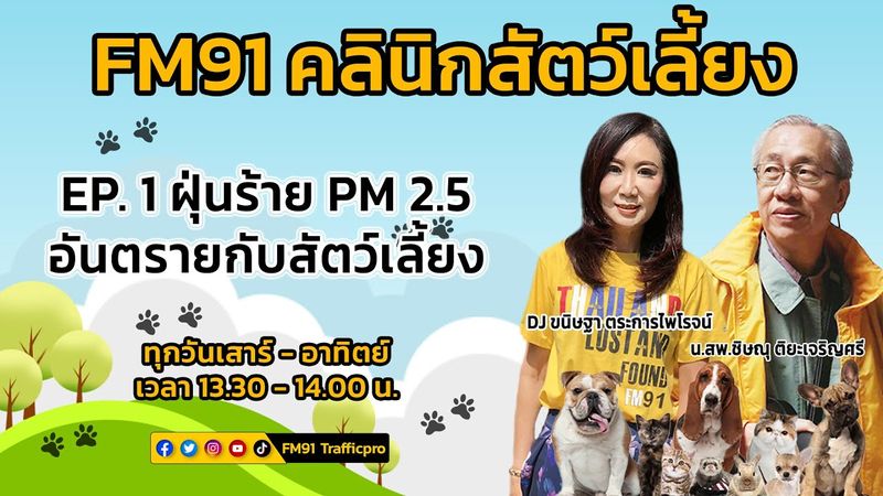 [FM91 Trafficpro] ฝุ่นร้าย PM2.5 อันตรายกับสัตว์เลี้ยง EP.1 : FM91 คลินิกสัตว์เลี้ยง สัมภาษณ์ ...