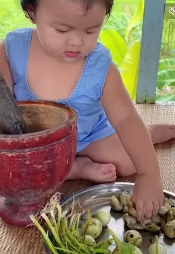 [Everythinghobby] ซุปมะเขือ อาหารสุขภาพจานโปรดจาหแม่หนู อิหล่าสไมล์ https://youtube.com/@eilar_smile