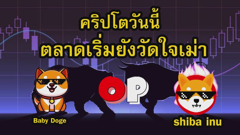 [SCOPE TV] คริปโตวันนี้ จับตา 3 เหรียญนี้ไห้ดี Baby Doge Shiba inu และ ...