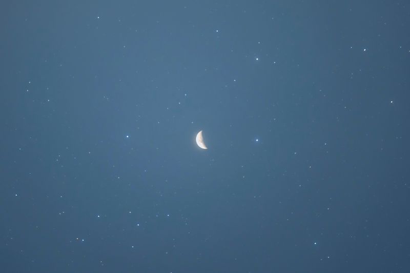 [Issa] Pose 420～426 💙🦋🌸🌼 Flowers under the moon.🌙🌸🌼 https://pip.me/issa ...