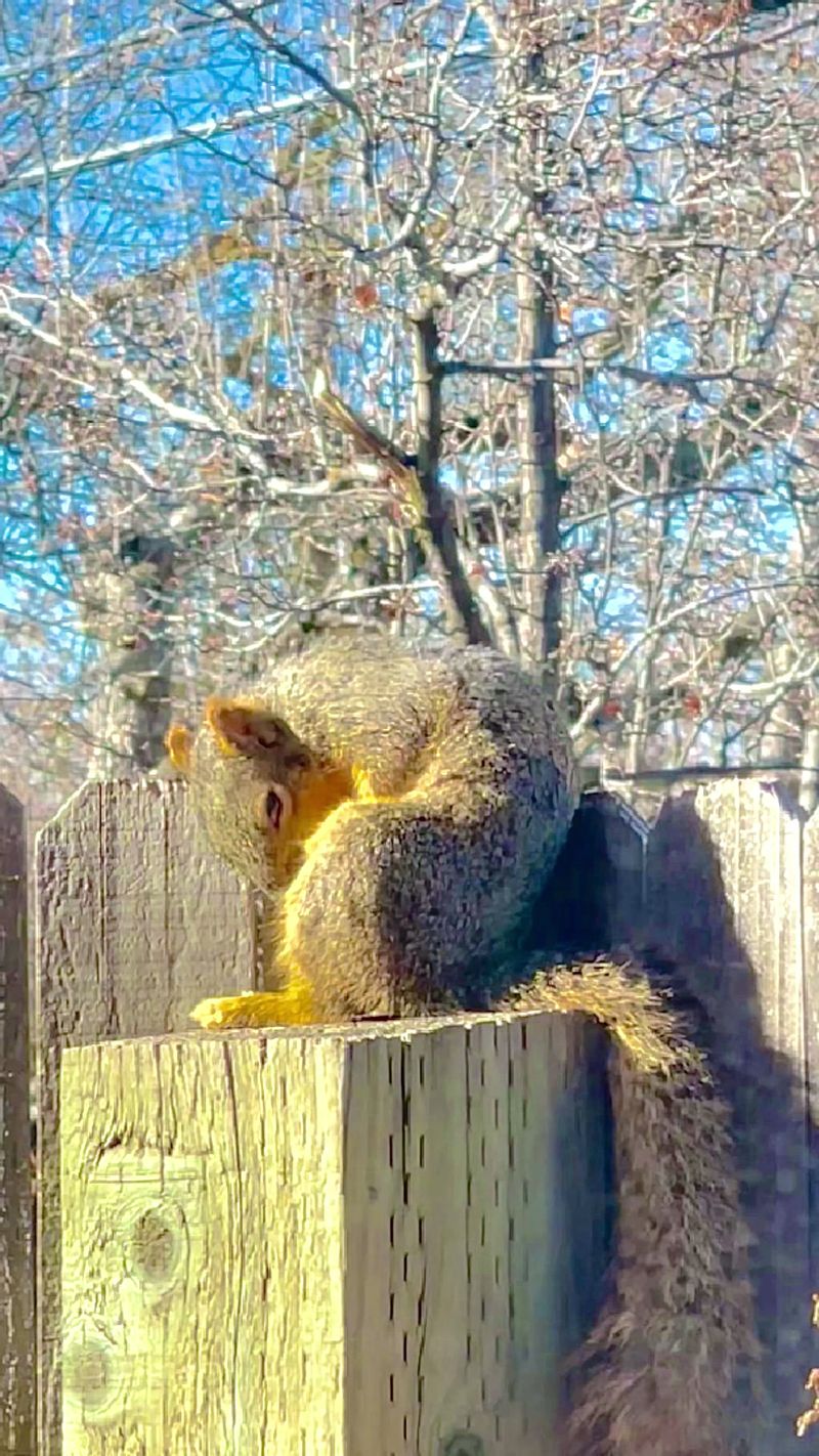 [Inka @นกขมิ้นบินไกล] หนาวมั้ย อยากรู้ไปดูกัน