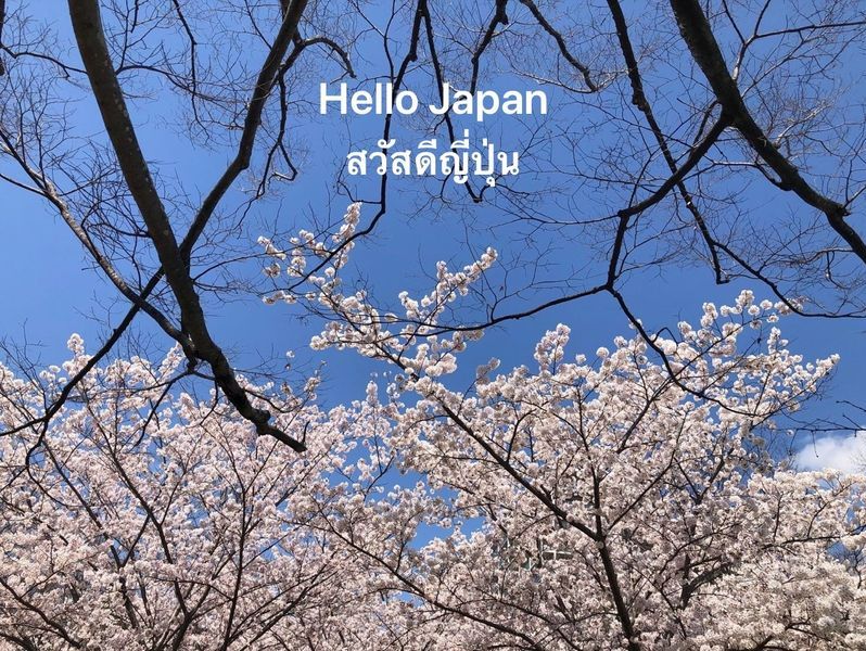 [Hello Japan สวัสดีญี่ปุ่น ] 🗾ญี่ปุ่น🎌 🏯เป็นประเทศที่เที่ยวได้ตลอดทั้งปี มีศิลปะ วัฒนธรรม ที่โดด ...