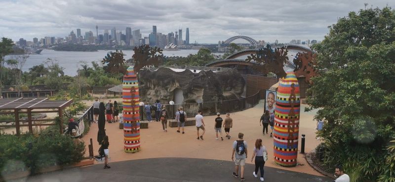[eatsntripss] 🇦🇺 เยือน Taronga Zoo สัมผัสชีวิตสัตว์แปลกตาเหมือนท่องป่า ...