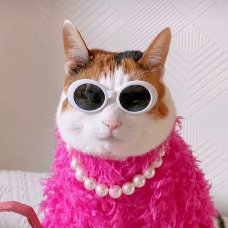 [atcha] ฝึกมีสติบ้าง ไม่ต้องลุ้นเกินไป ลดความใจร้อนลง