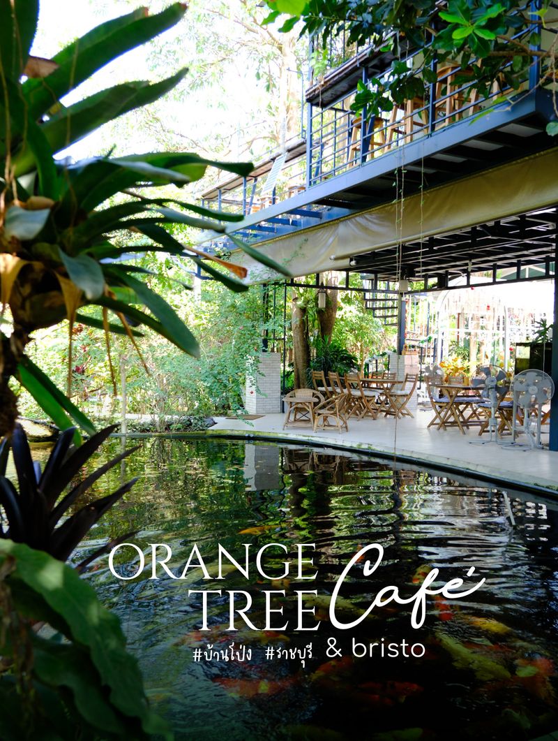 [เดี๋ยวเราพาไป] Orange Tree cafe&bistro #บ้านโป่ง #ราชบุรี 😍วันนี้แอดพา ...