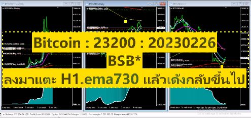 [LetMoneyWorkItSelf] Bitcoin: 23200: 20230226 BSB*